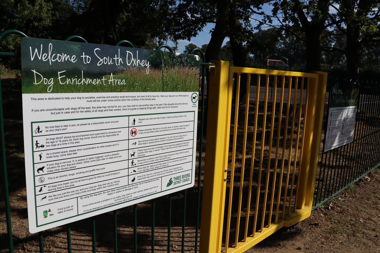 District's first-ever council-owned dog exercise area to officially ...